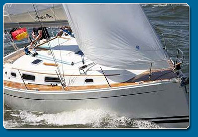 HANSE 341 / 342 Sailing yacht bareboat technical information and ...